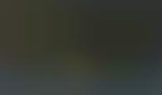 Insect-Inspired Automobiles : BioThink