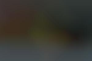 Insect-Inspired Automobiles : BioThink