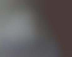 Sci-Fi Sleeping Spaces : AT-AT Walker Bed