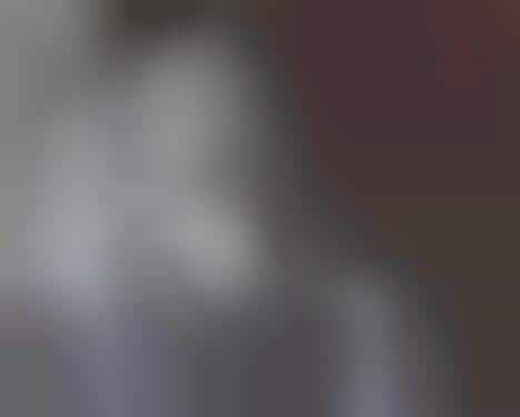 Sci-Fi Sleeping Spaces : AT-AT Walker Bed