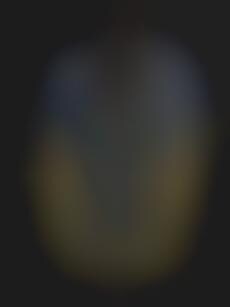 Star Wars Instruments : Guitar2-D2 Instrument