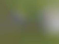 Geeky Gamer Undergarments : Xbox 360 Controller Bra