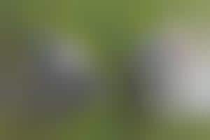 Geeky Gamer Undergarments : Xbox 360 Controller Bra