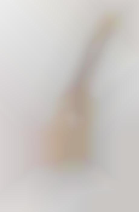 Tree Trunk-Inspired Instruments: The ‘Less Paul’ Guitar Appears to Have ...