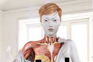 Skin Dress Paintings : Human Defualt