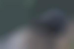 Bedazzled Eyebrow Editorials : Monumental Chapter by Jovana Mladenovic