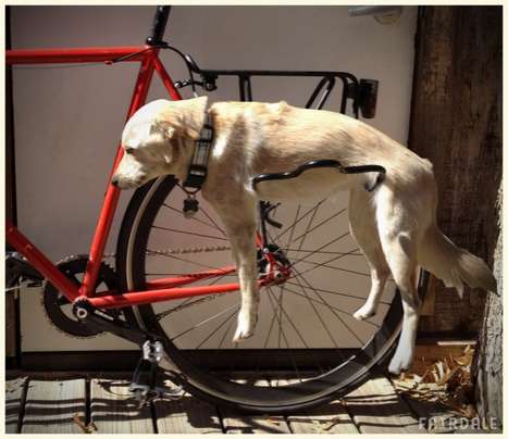 Pet-inspired Bike Racks : Fairdale Dograck