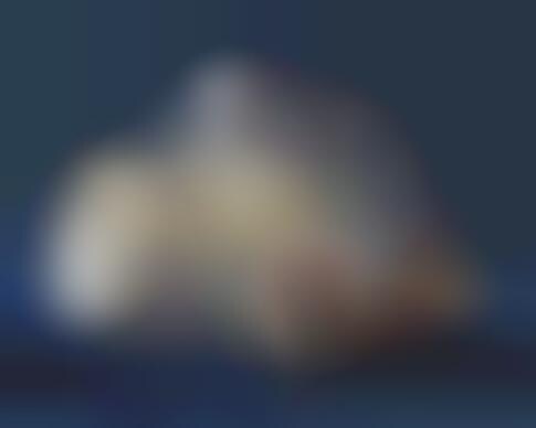 55 Snack-Making Appliances