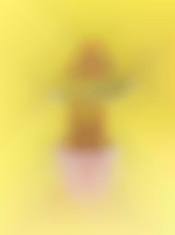 Everyday Object Innuendo Shoots : Insert Coin by Pablo Alfieri