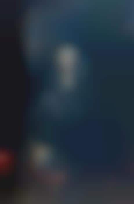 Gothically Austere Fashion Ads : Lida Baday Fall 2012