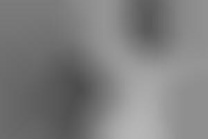 Mutant Nature Portraits (UPDATE) : Alexandra Bellissimo Simulations