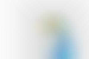 Perching Cocktail Openers : Parrot Sommelier Corkscrew