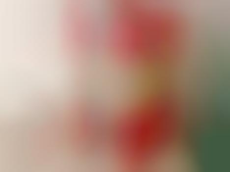 Classic Gaming Covers : Book Style Covers for Video Games by James Bit