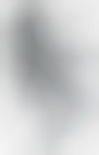 Titillating Tattooed Vixen Drawings : Adam Isaac Jackson