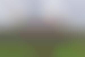 Pigmented Topiary Installations : Color Pencil Tree