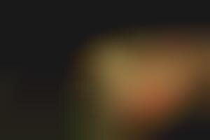 Gory Organ-Shaped Desserts : Anatomically Correct Heart Macaroons