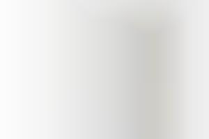 Elephant-Like Room Coolers : Mini-ELEFAN by IDEA International