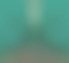 Smartphone Consideration Graphs : Cell Phone Upgrade Guide