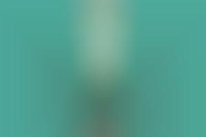 Smartphone Consideration Graphs : Cell Phone Upgrade Guide