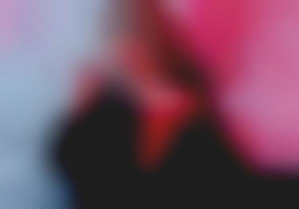 20 Saturated Color Photography Finds