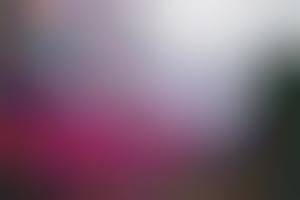 Interactive Toy Sculptures : Bloom art installation