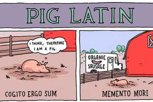 Clever Agricultural Cartoons : Pig Latin comic