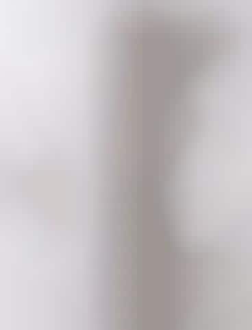 Reptile-Themed Bakeware : Ceramic Turtle Measuring Cups