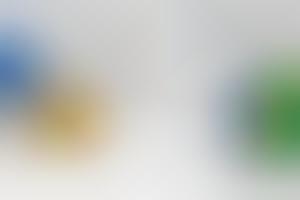 Easy Weight-Transitioning Dumbbells : Quick Click barbell