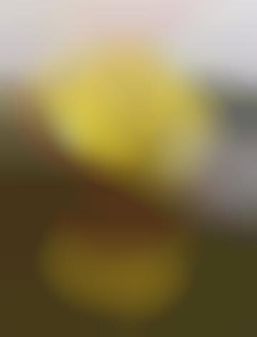 Breakfast-Infused Hamburgers : eggs benedict burger