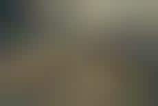 Desolate Abode Captures : Cari Ann Wayman