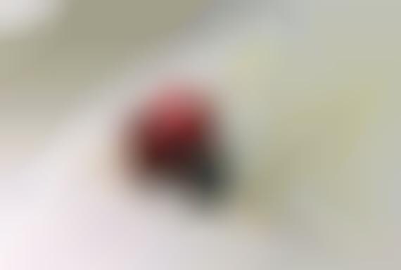 66 Intricately Miniature Things