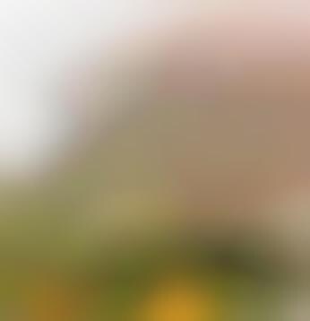 Hand-Shaped Utensils : Tenohira Salad Tong