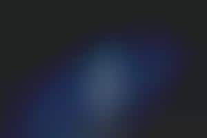 Holographic Avatar Immortality : 2045 Initiative