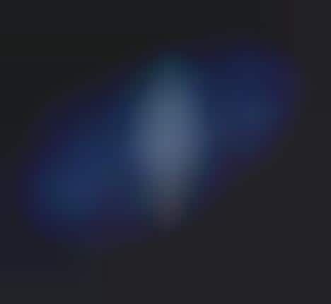 Holographic Avatar Immortality : 2045 Initiative