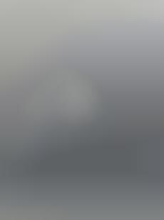 Distraught Forest Pictorials : Spirit of Nature by Koty 2