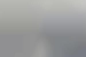 Distraught Forest Pictorials : Spirit of Nature by Koty 2