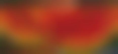 Magnified Fruit Paintings : Dennis Wojtkiewicz