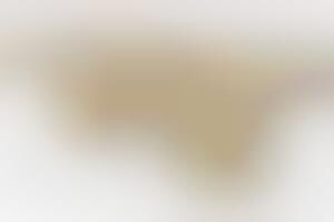 Midas Touch Tree Tables : gold dinning table