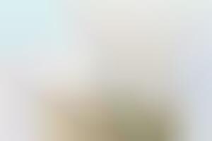 Breakfast-Inspired Booze : waffle flavored vodka