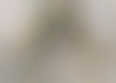 Humpback Bicycle Concepts : Fliz Bike