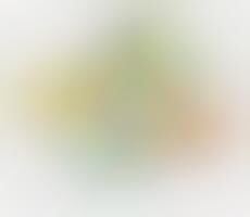 Reptile-Themed Bakeware : Ceramic Turtle Measuring Cups