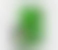 Soda-Disguised Drink Containers : My Eco Can