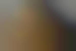 National Face Distorting Contests : ugly competition