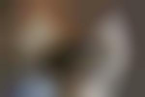 Furry French Leaders : Dogs With a Napoleon Complex