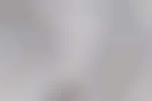 Iconic Rapper Playing Cards : Mynority Classics Playing Cards