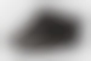 Posh Padded Heel Sneakers : SUPRA Falcon Shoes