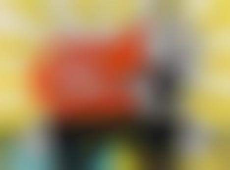 Happiness Guide Graphs : How to be a Happy Camper