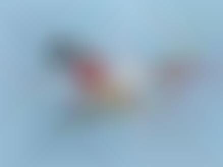 57 Floating Photography Stills