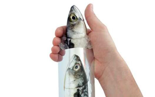 Candid Seafood Branding : Fresh Fish Pack