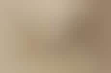 Bacteria-Developed Photography : Bacteriography by Zachary Copfer